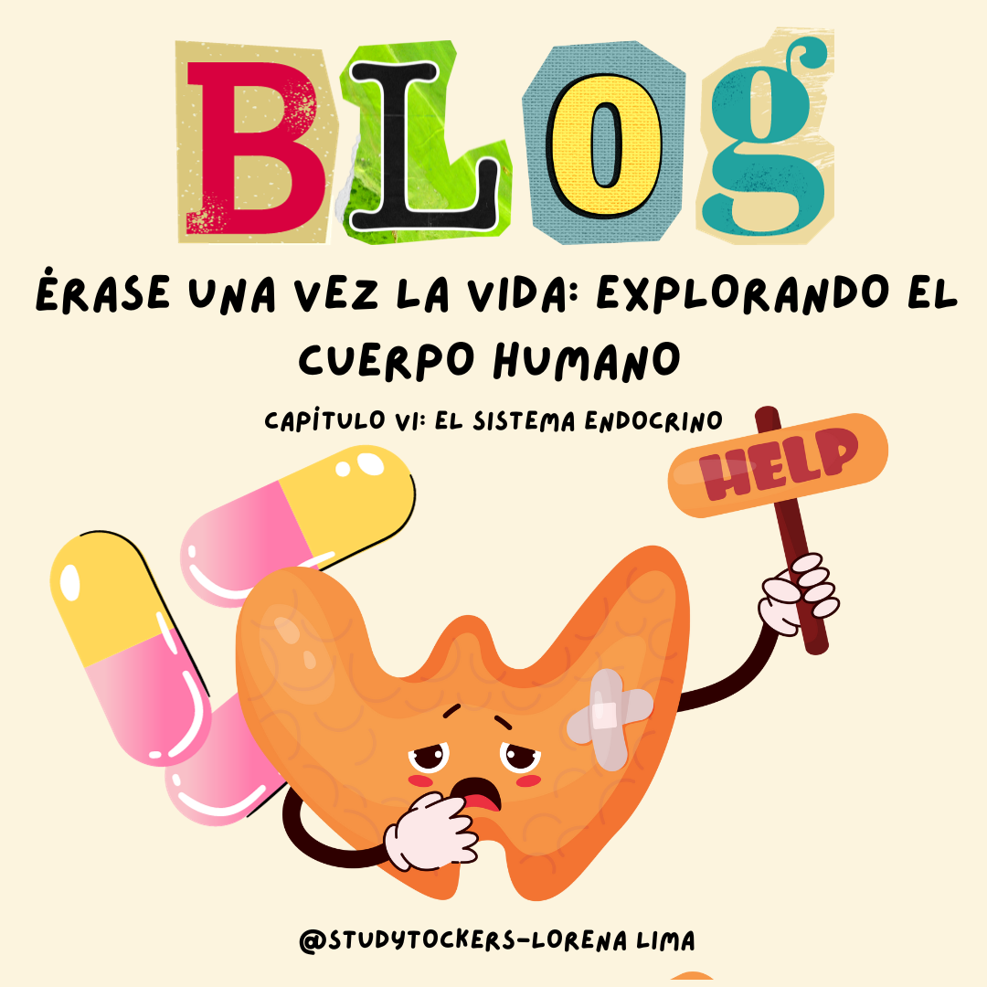 Érase una vez la vida: Explorando el cuerpo humano - El Sistema Endocrino