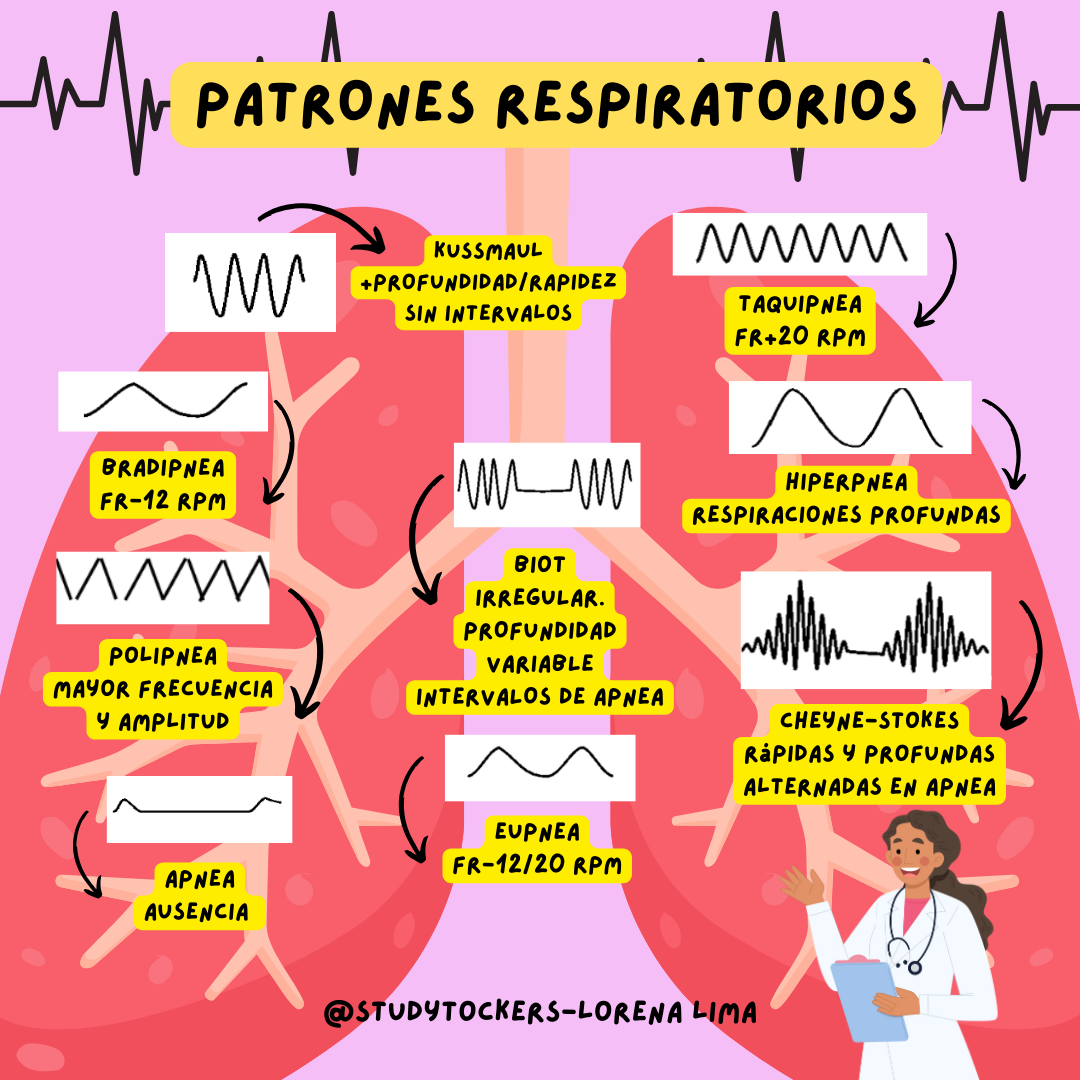 Érase una vez la vida: Explorando el cuerpo humano
