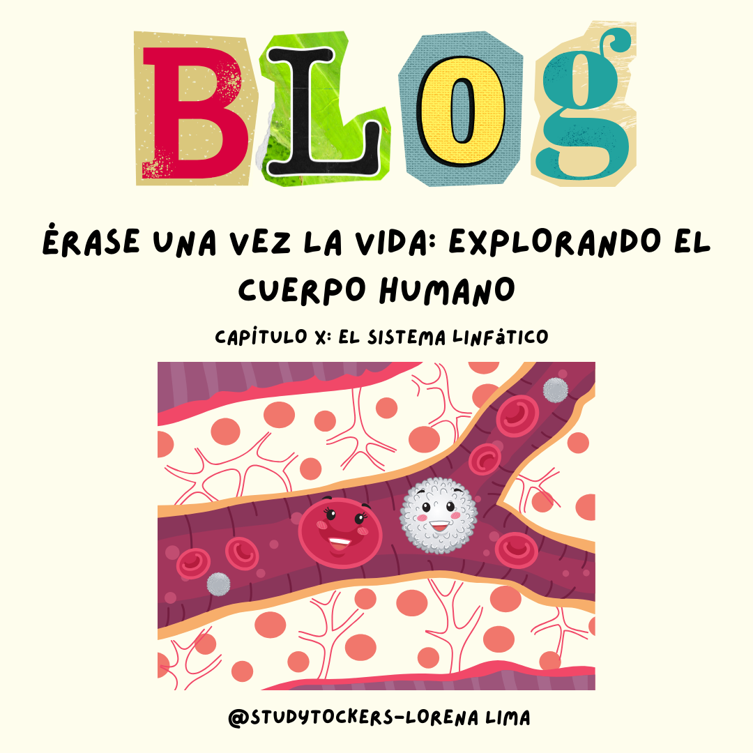 Érase una vez la vida: El Sistema Linfático